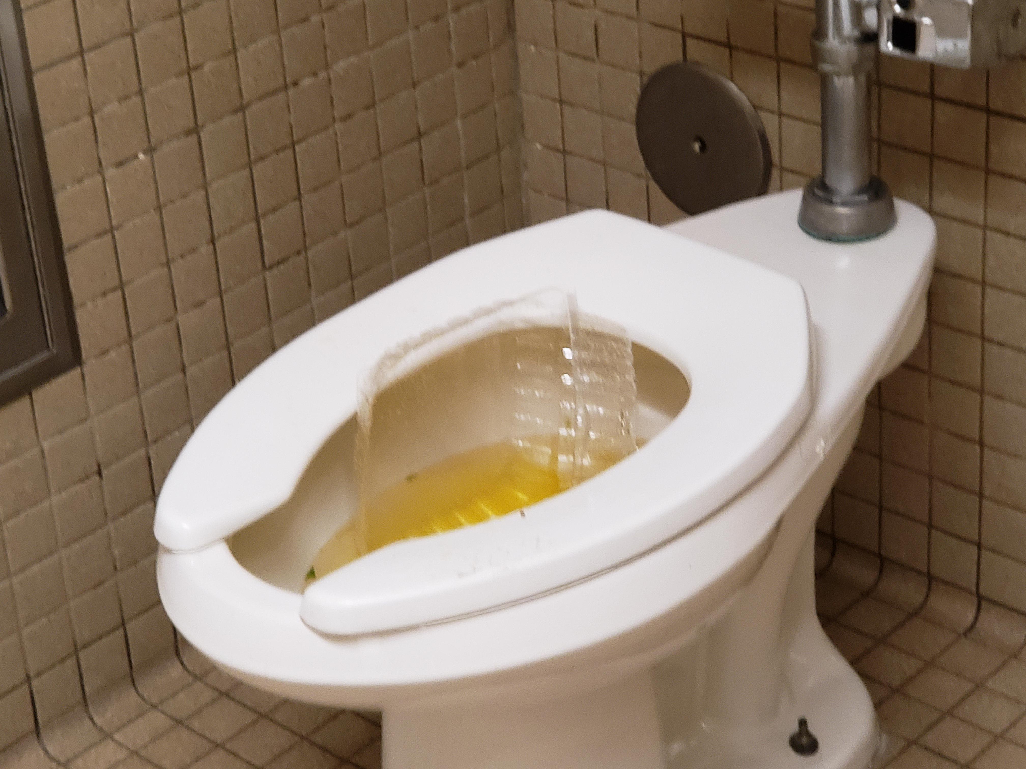 Curse_Lunch | Scrolller