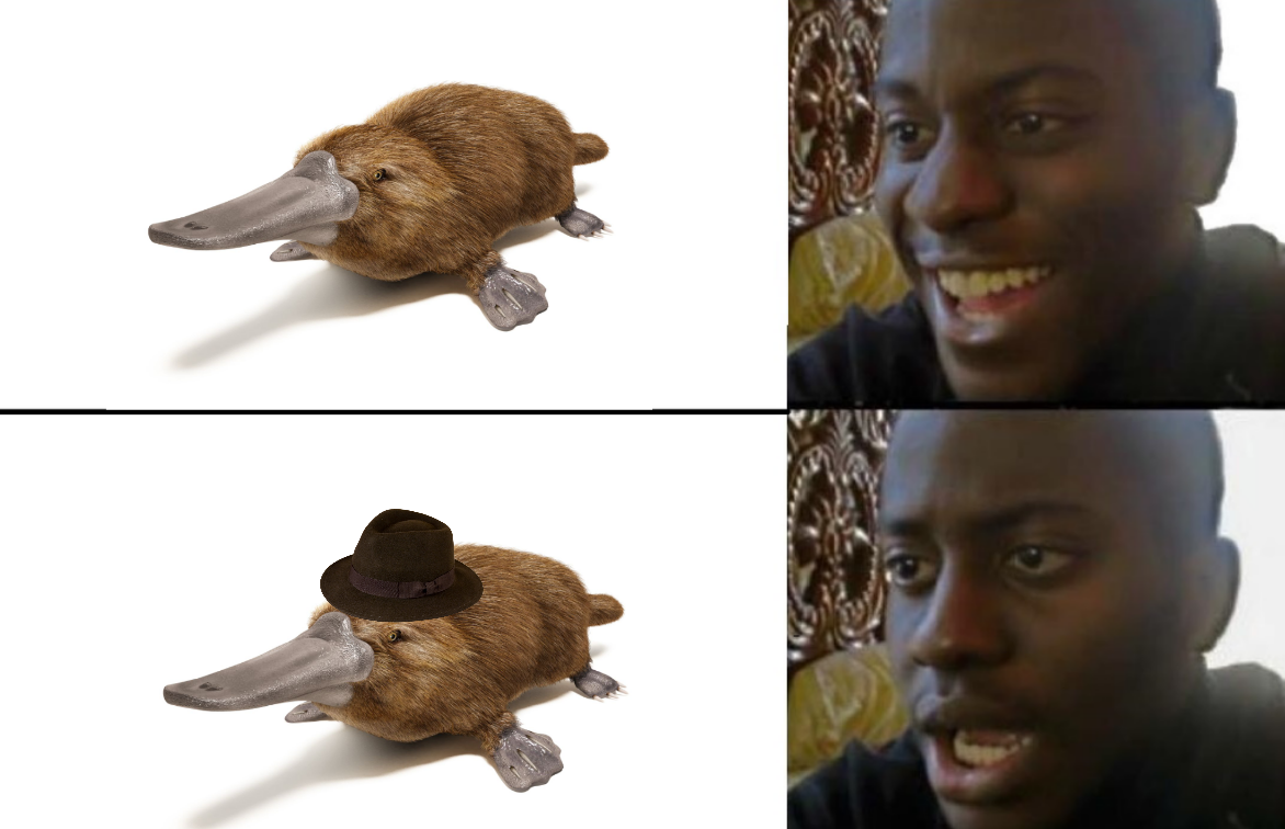 CURSE YOU PERRY THE PLATYPUS! | Scrolller