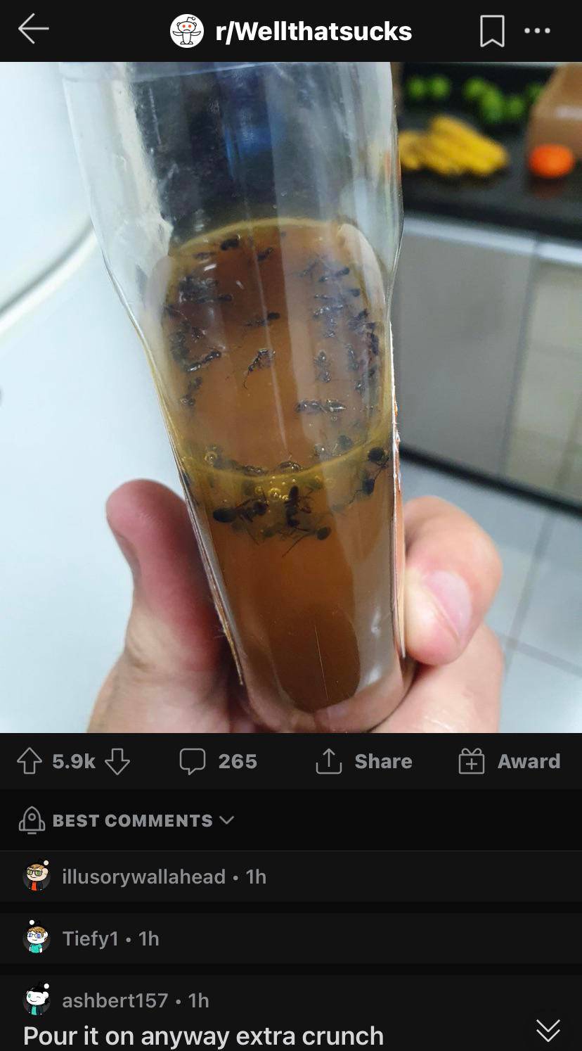 Cursed Ants | Scrolller