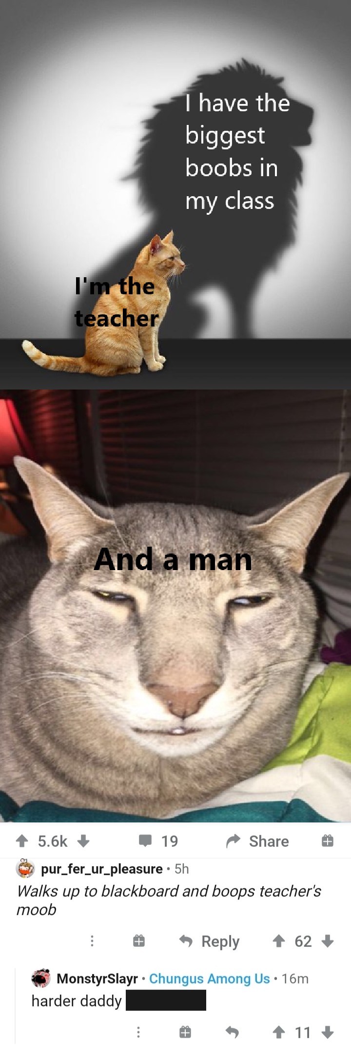 Cursed bazongas | Scrolller