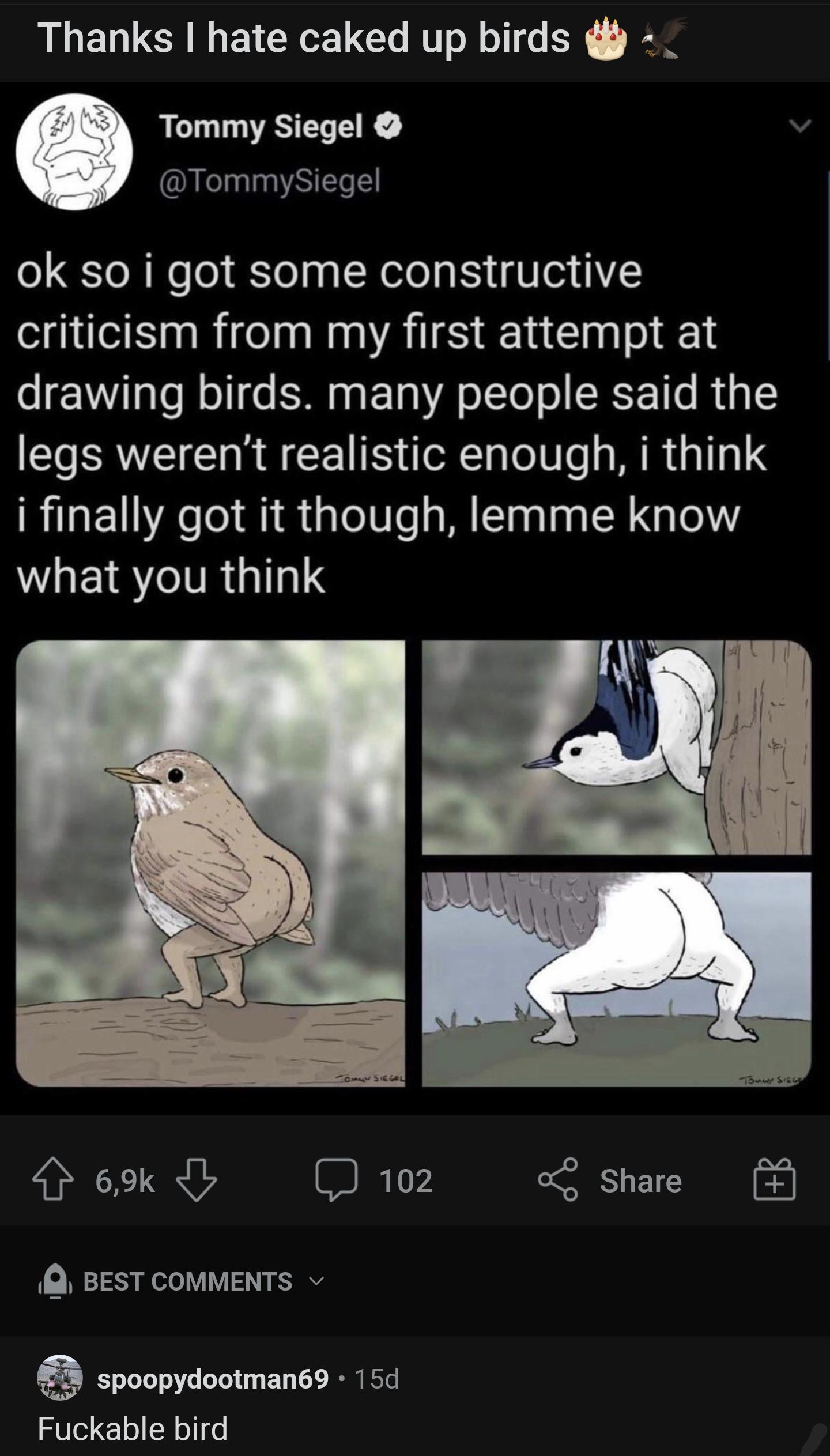 Cursed_Birds | Scrolller