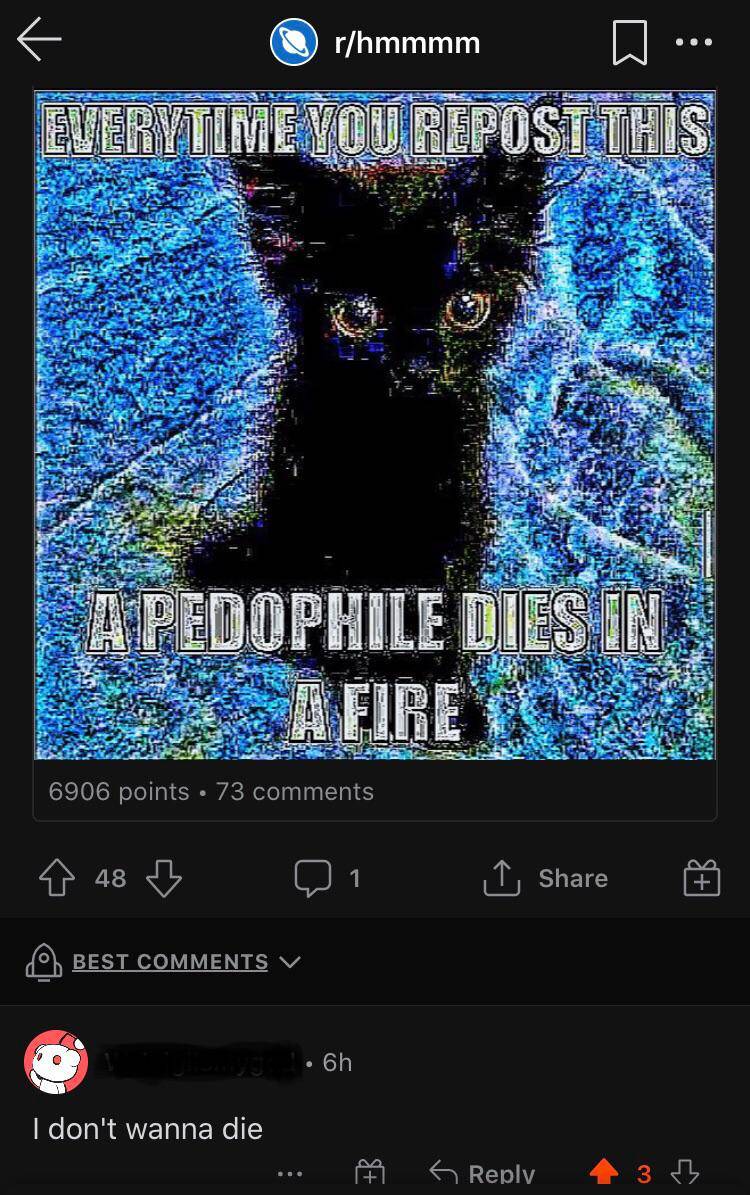 Cursed_cat | Scrolller