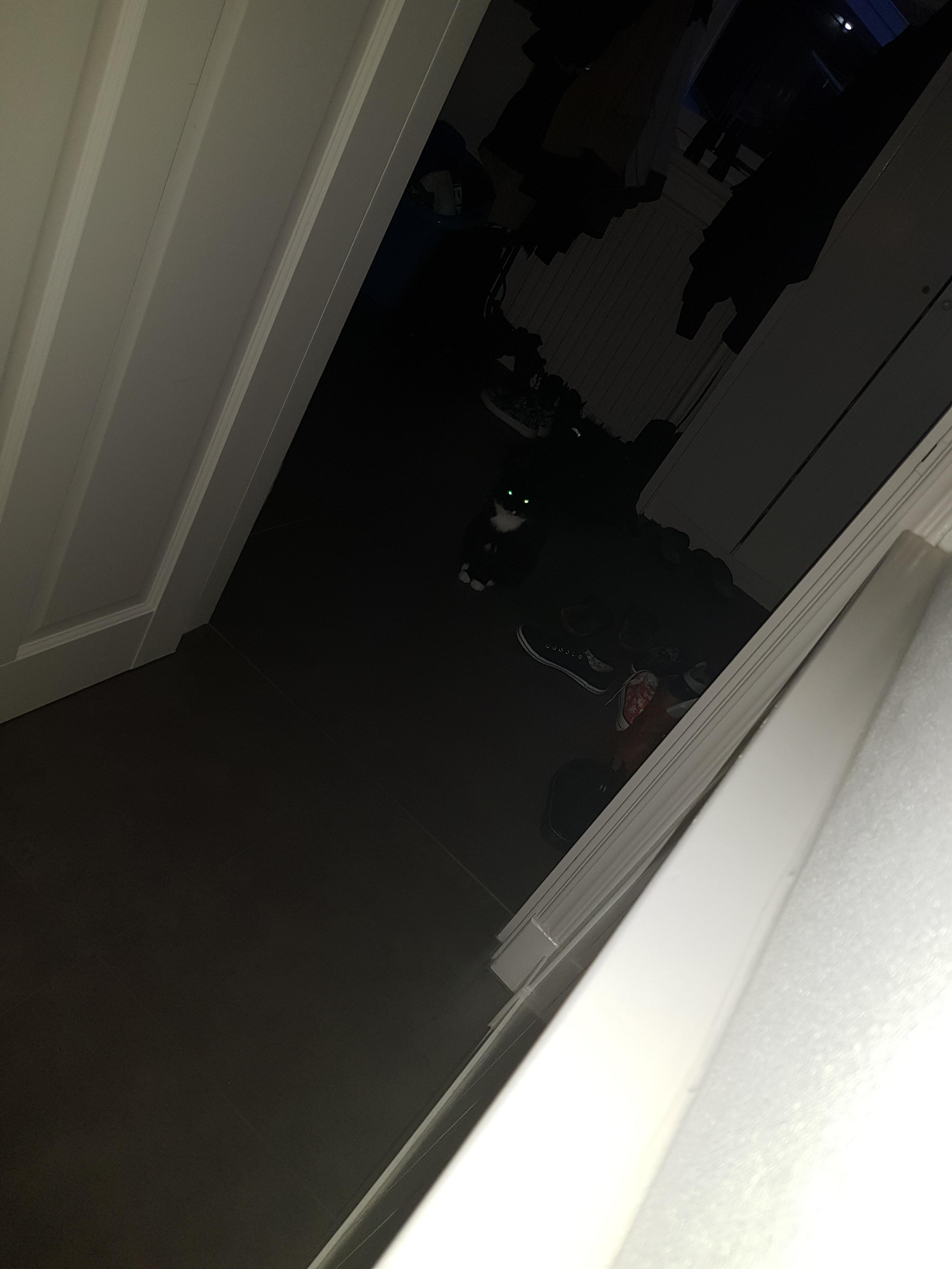 Laser eyed void | Scrolller