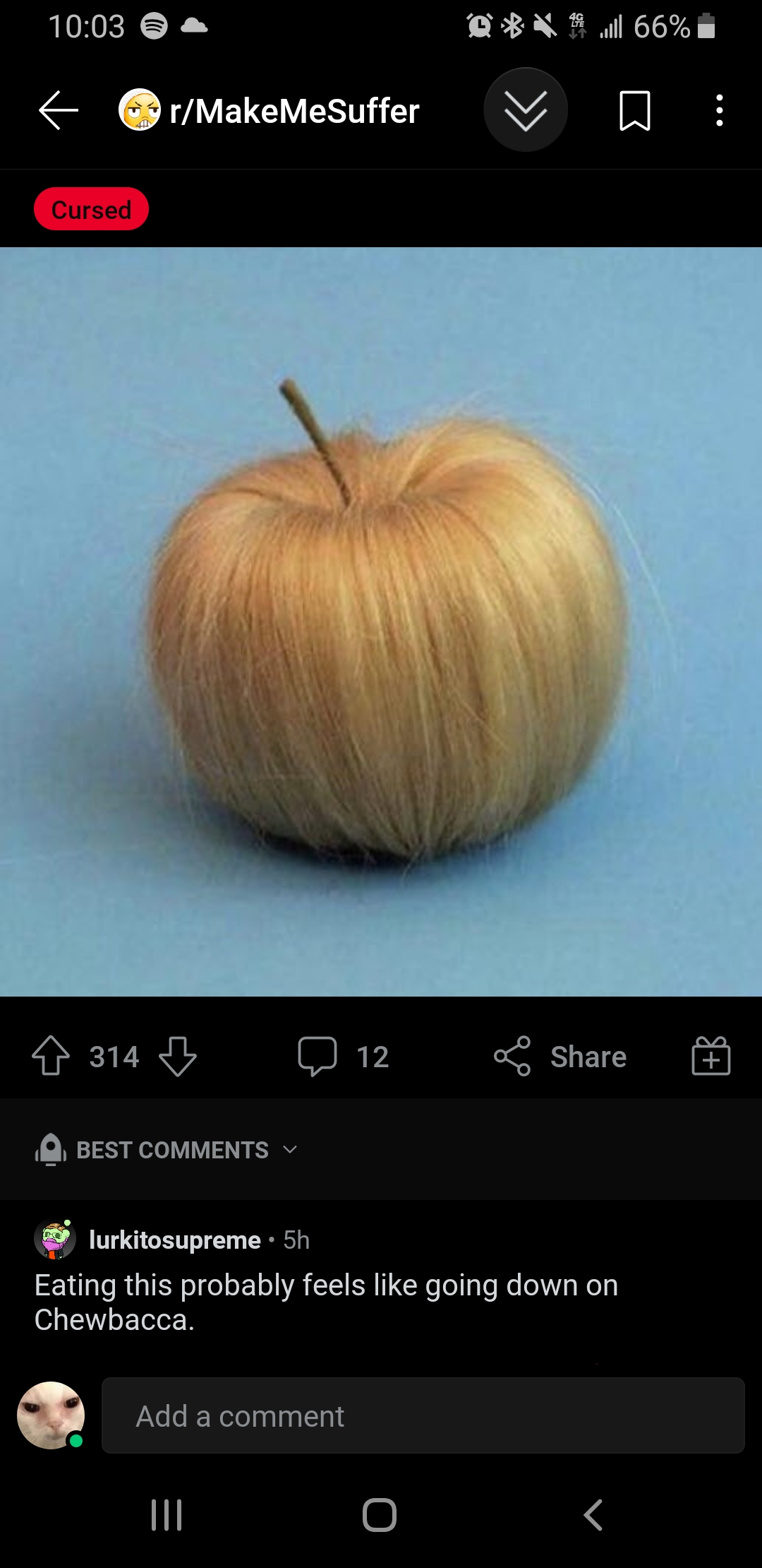 Cursed_Chewbacca | Scrolller