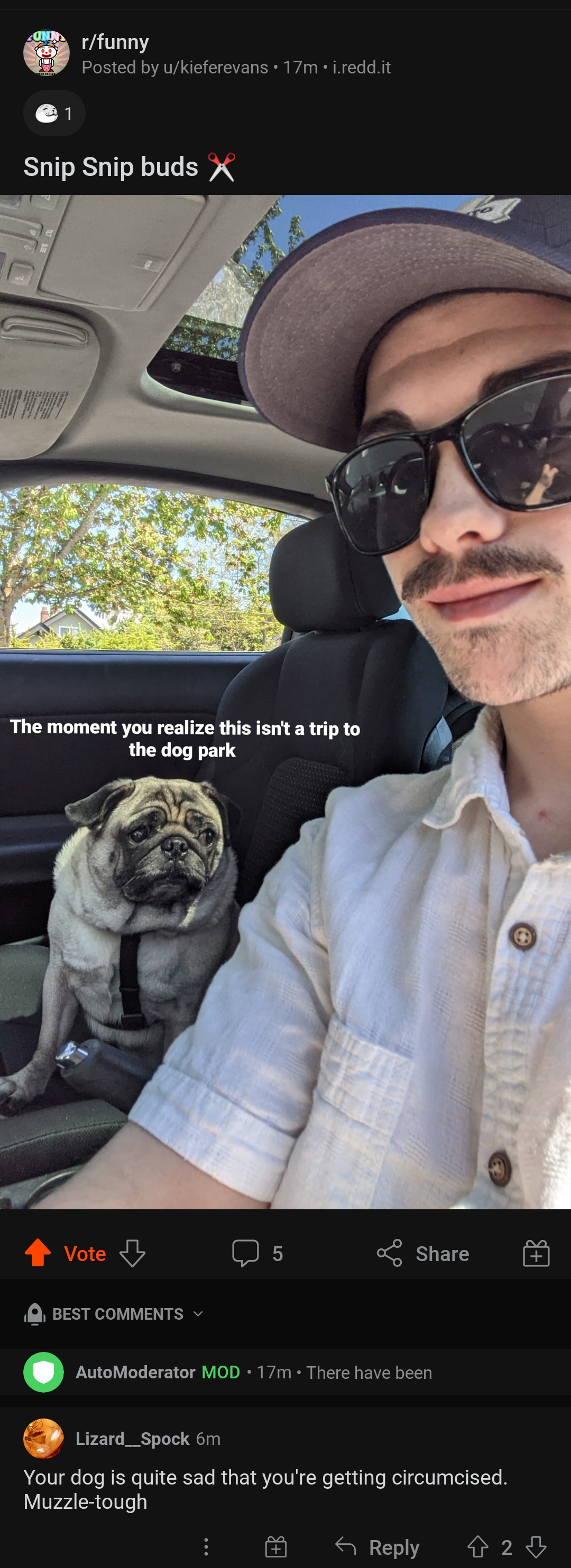 Cursed_circumcision | Scrolller