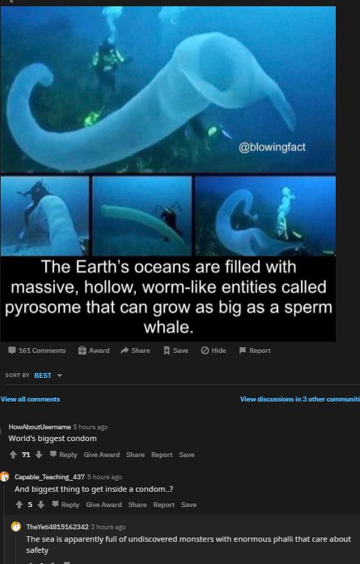 cursed condoms | Scrolller