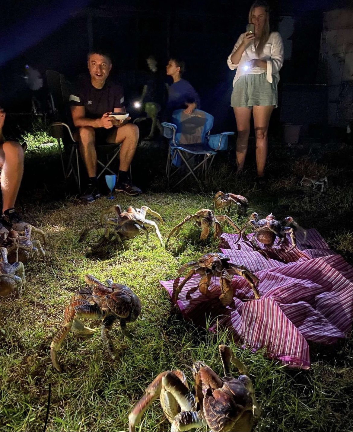 Cursed_Crabs | Scrolller