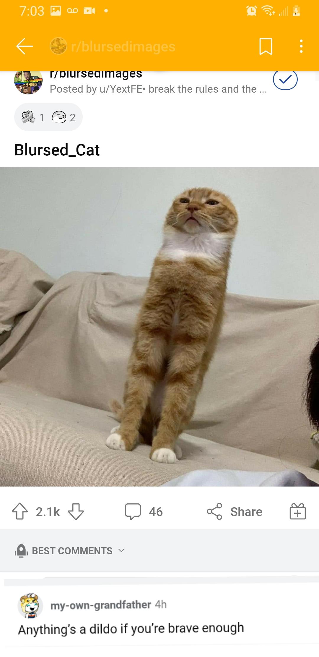 cursed_dildo | Scrolller