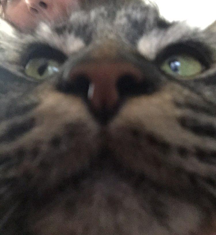 Cursed_do you have games on your phone? | Scrolller