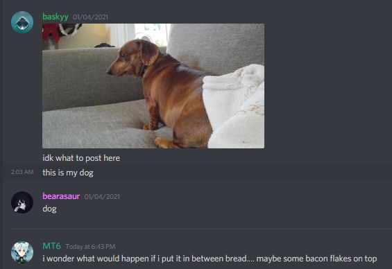 Cursed_dog | Scrolller