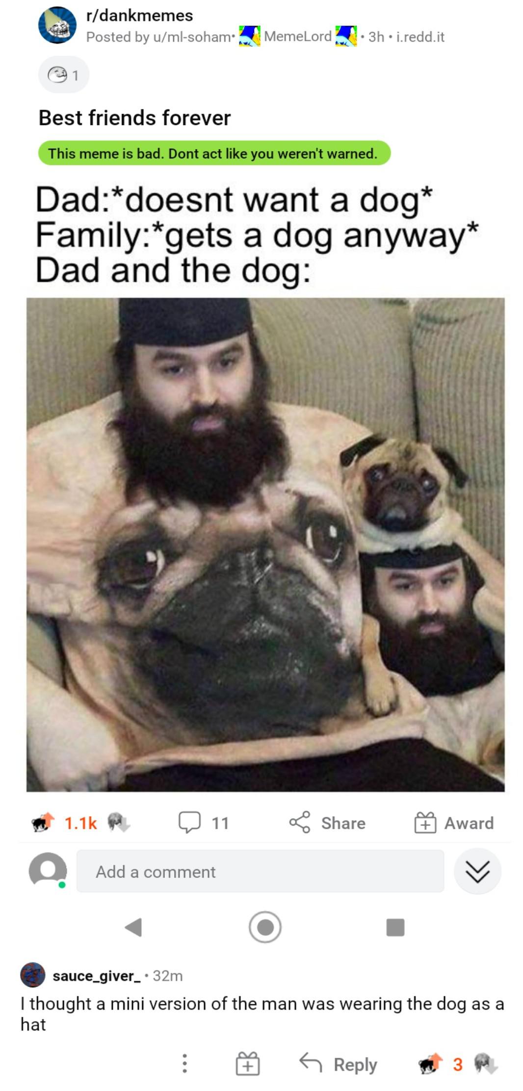 Cursed_dog | Scrolller