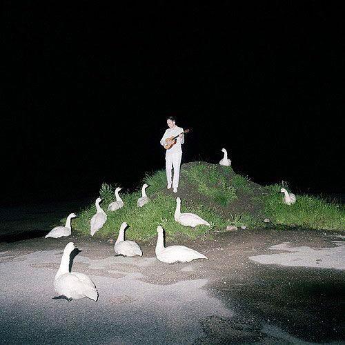Cursed_ Duck Army | Scrolller