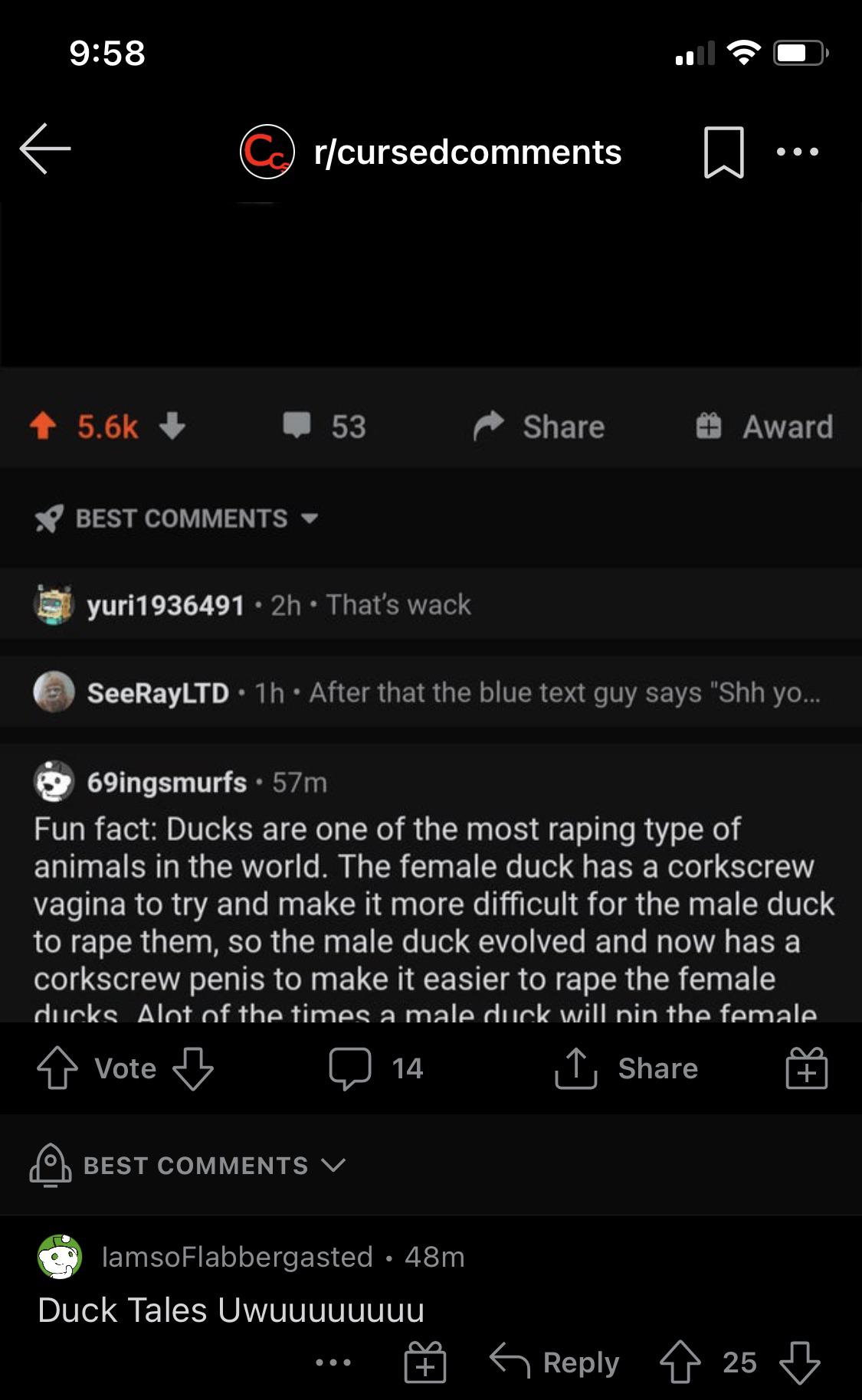 Cursed_duck tales | Scrolller