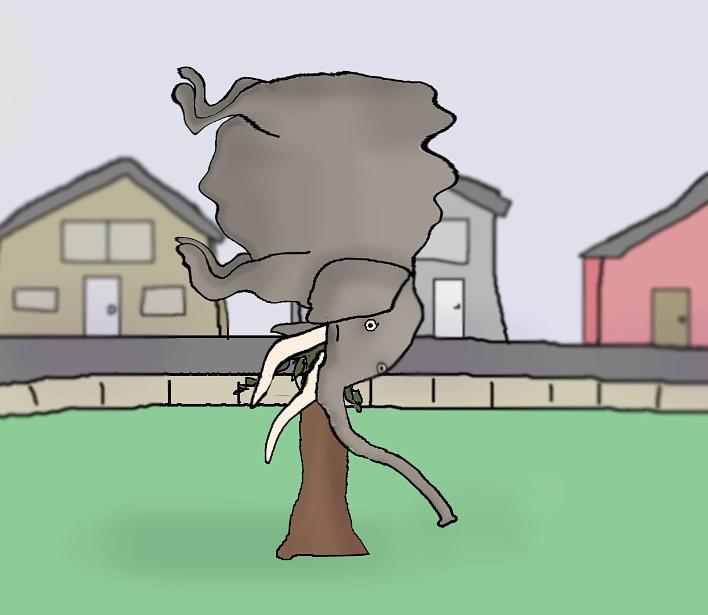 Cursed elephant | Scrolller