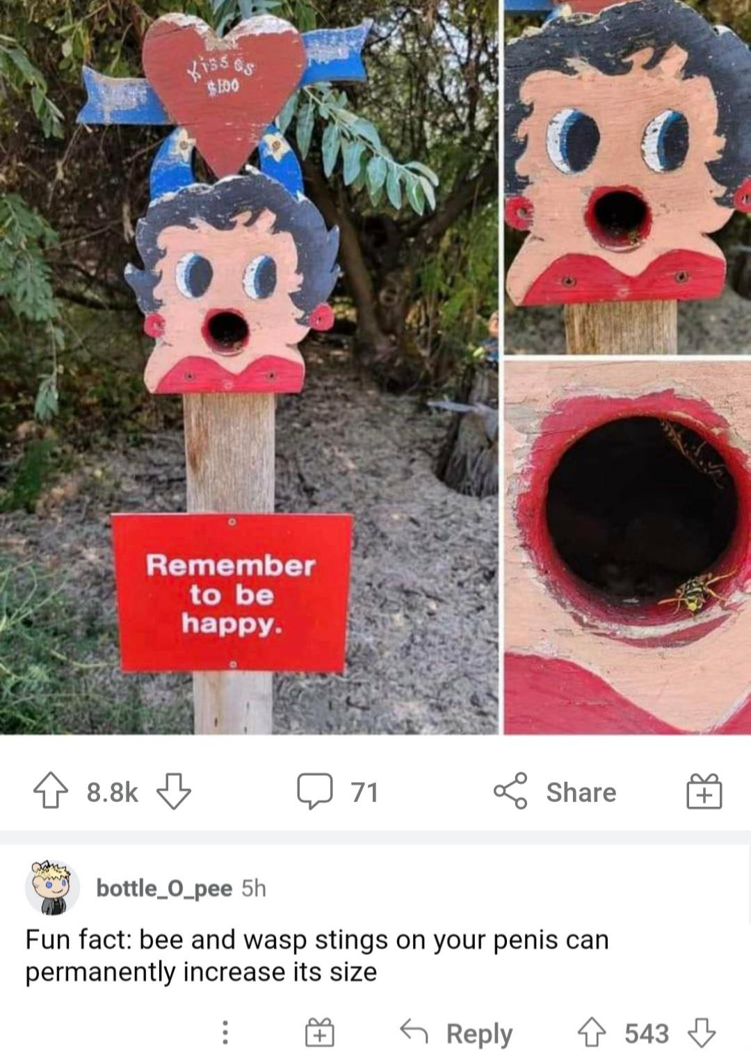 cursed fact | Scrolller