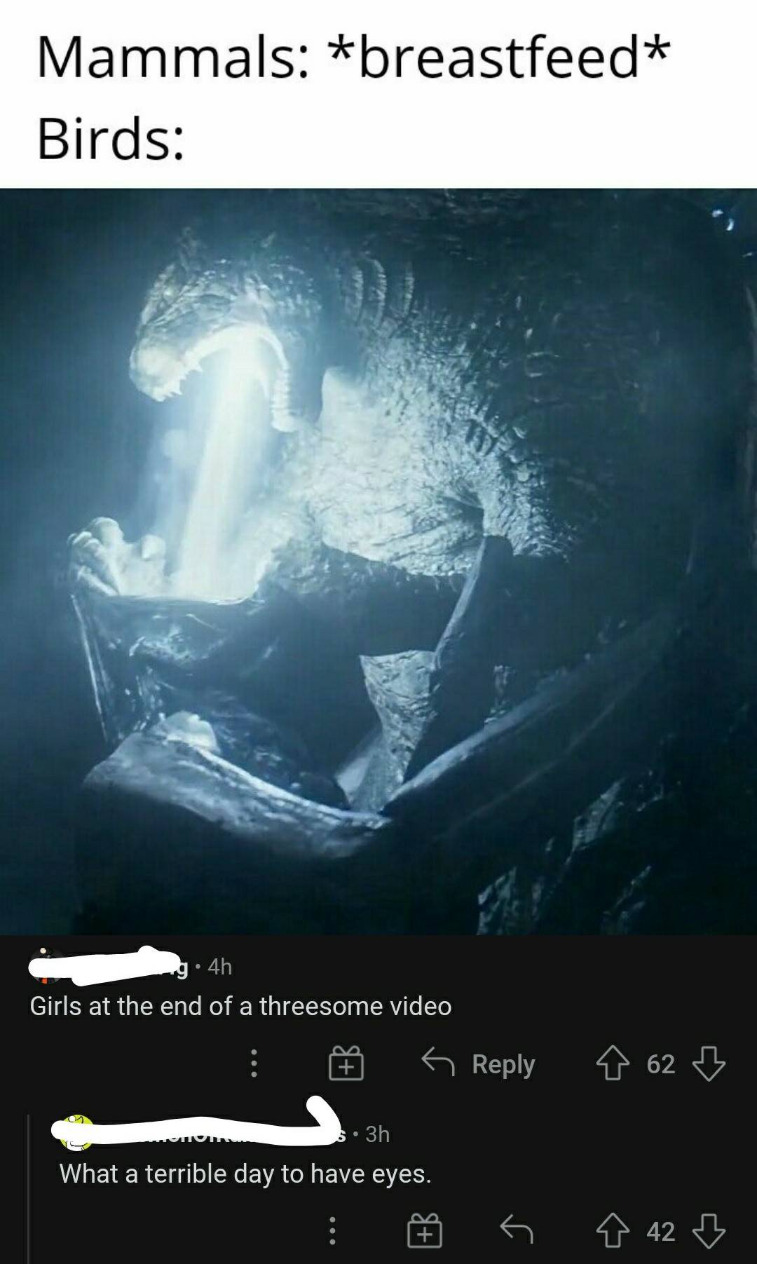 Cursed_feeding | Scrolller