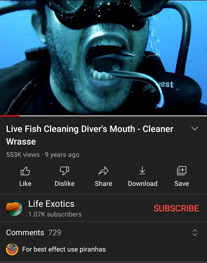 Cursed Fish Tooth Cleaning | Scrolller