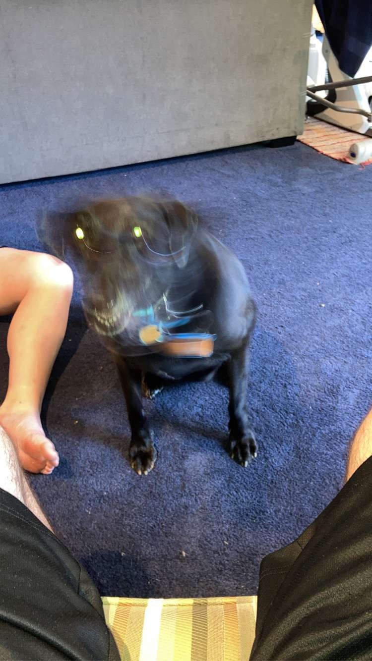 Cursed_gigi | Scrolller