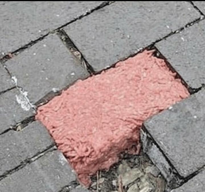 Cursed_GroundBeef | Scrolller