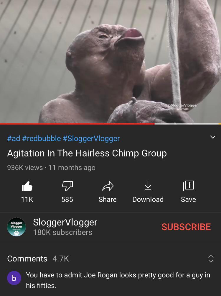 Cursed Hairless Chimp | Scrolller