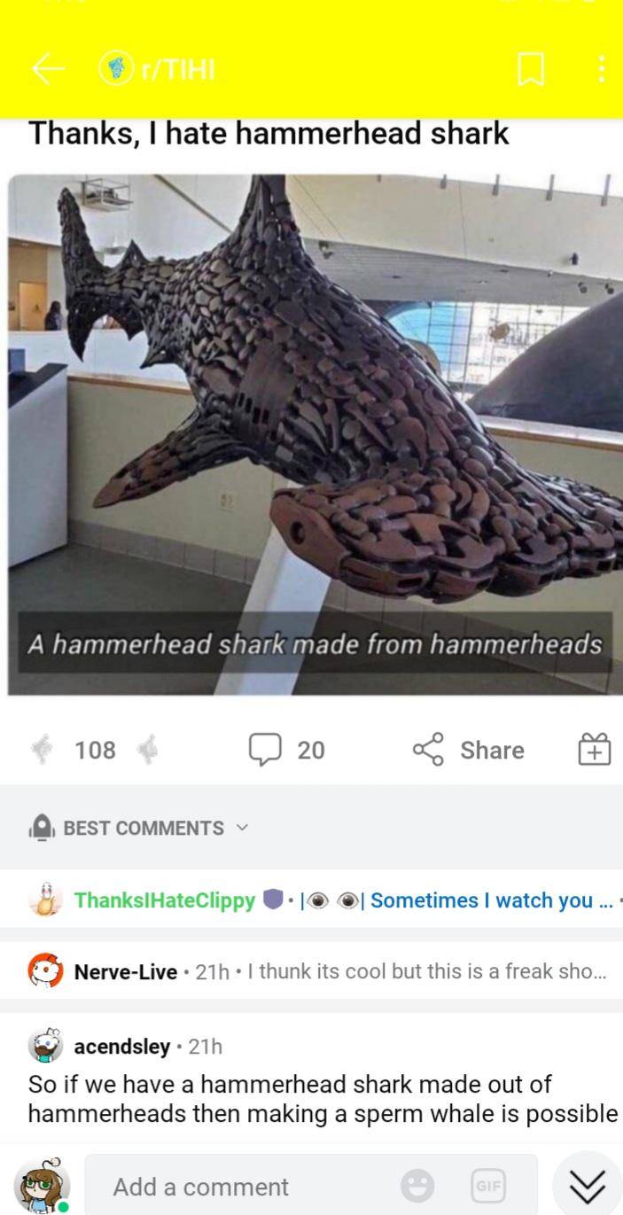 Cursed_Hammerhead Shark | Scrolller