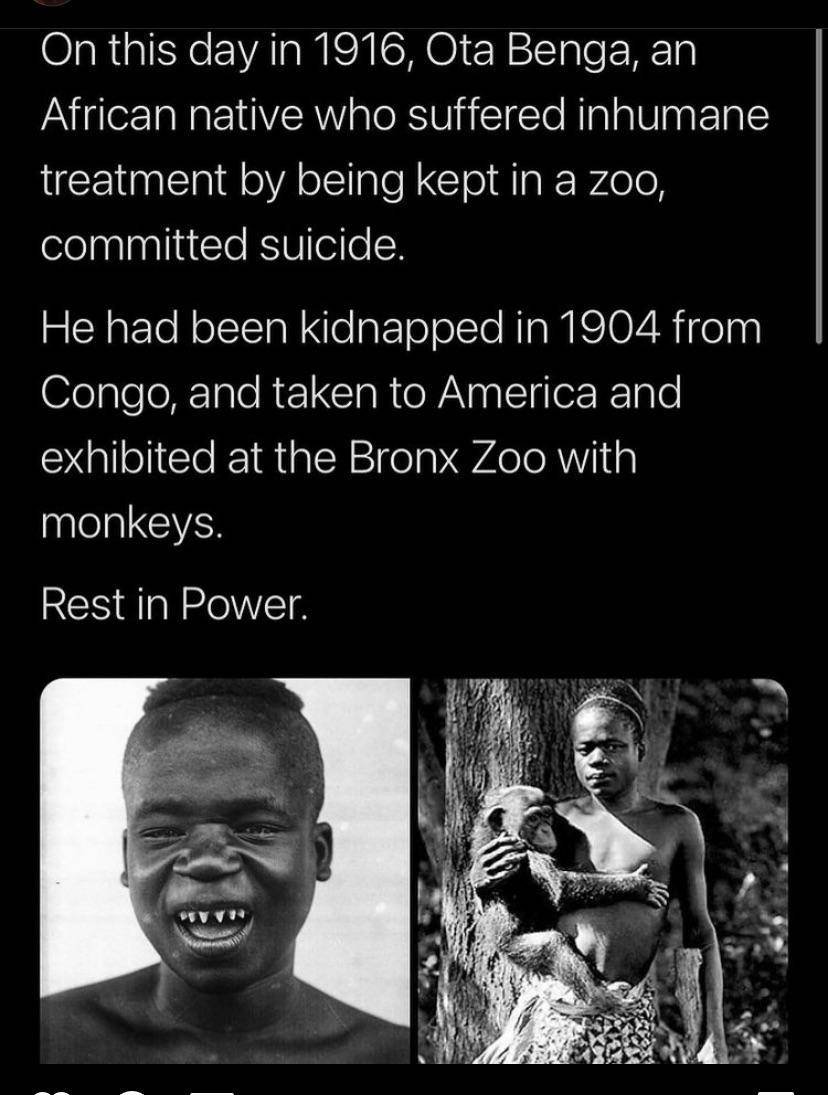 Cursed human treatment | Scrolller