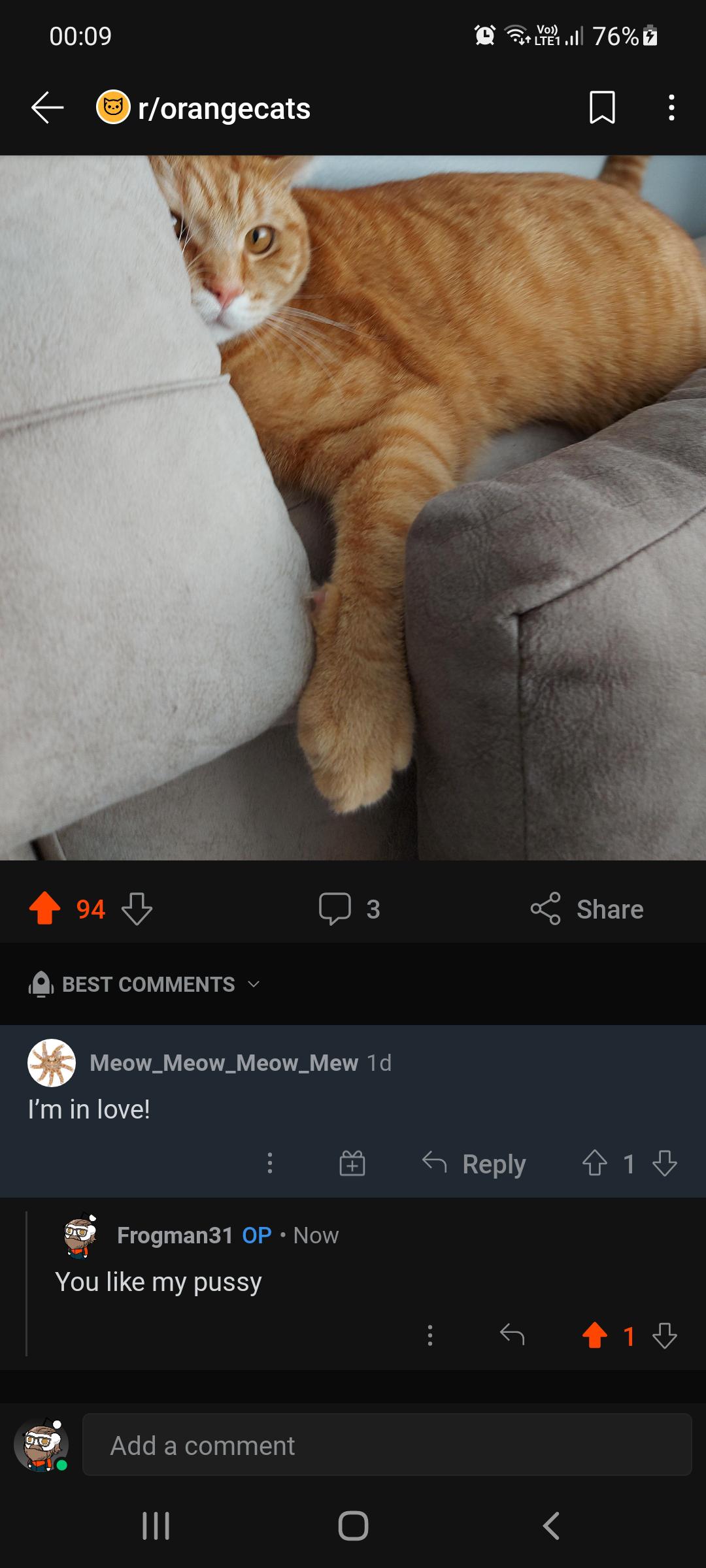 Cursed_kitty | Scrolller