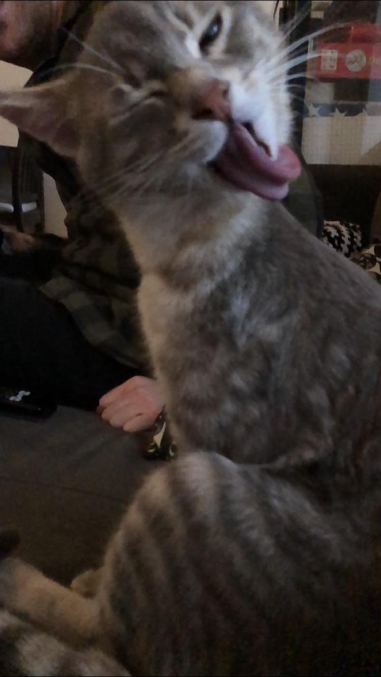 Cursed_lick | Scrolller