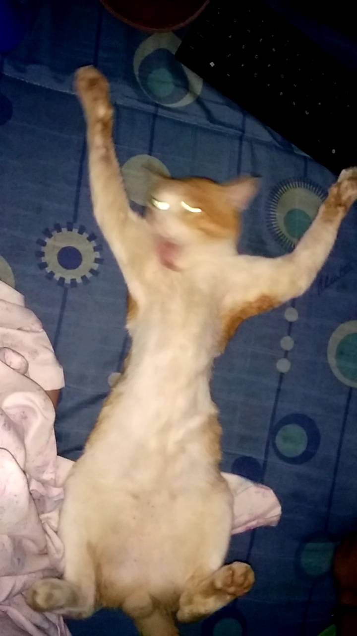 Cursed_lick | Scrolller