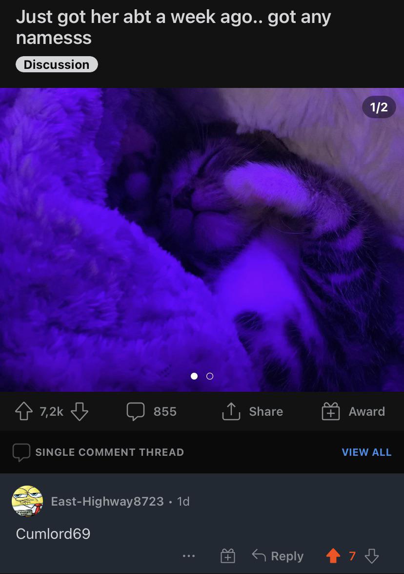 cursed name suggestion | Scrolller