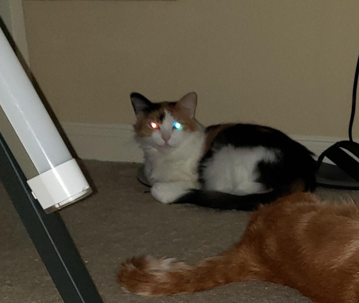 Cursed_NightWatcher. She's knows when you are sleeping. She knows when you're awake. | Scrolller