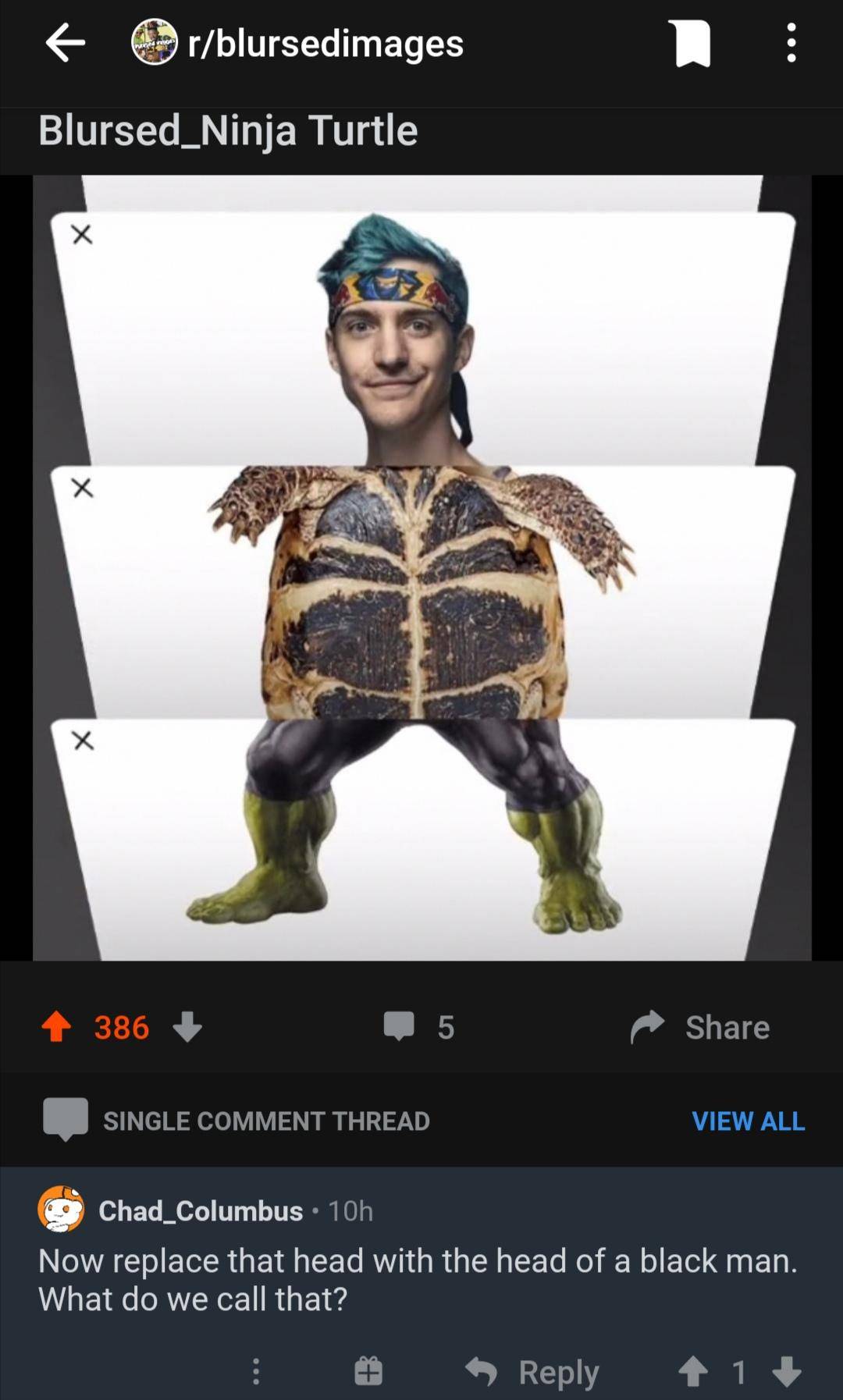 Cursed_Ninja Turtle | Scrolller