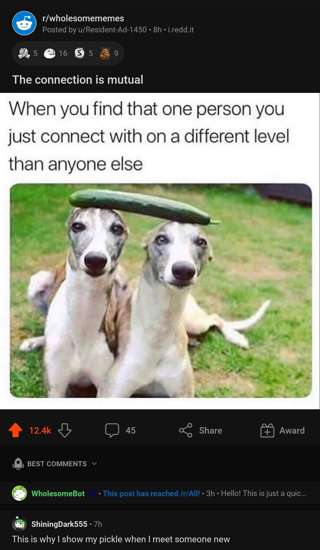 Cursed Pickle | Scrolller