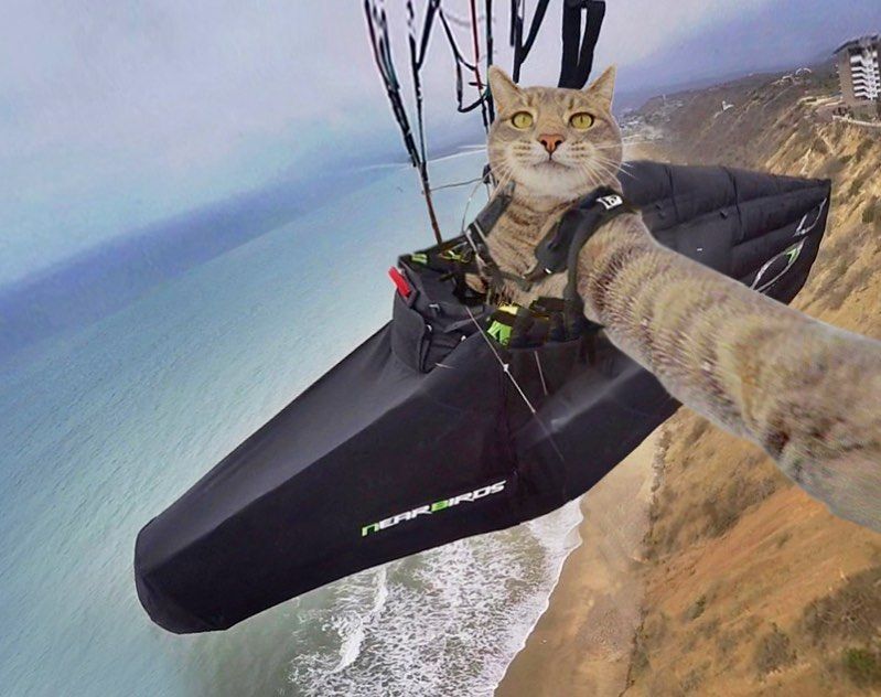 Cursed_Pilot | Scrolller