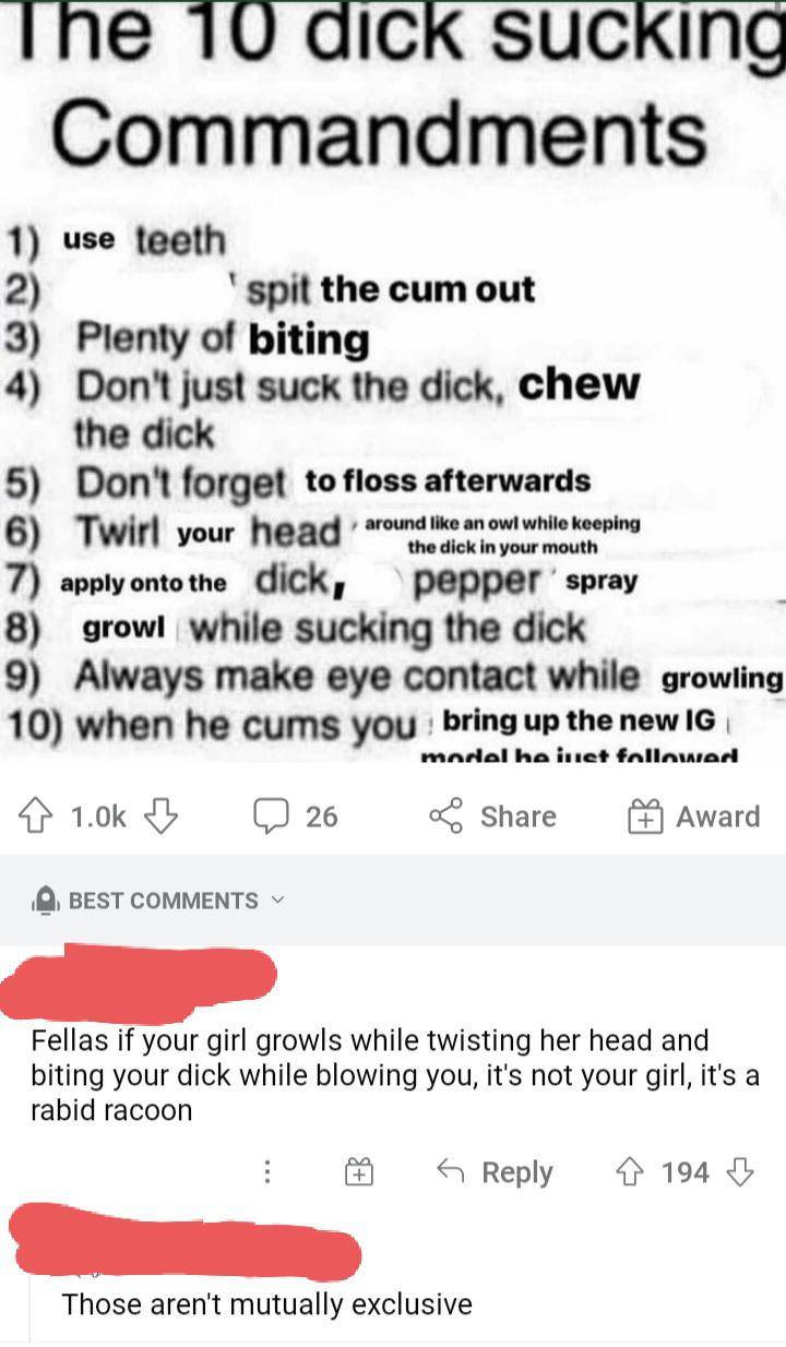 Cursed_racoon | Scrolller