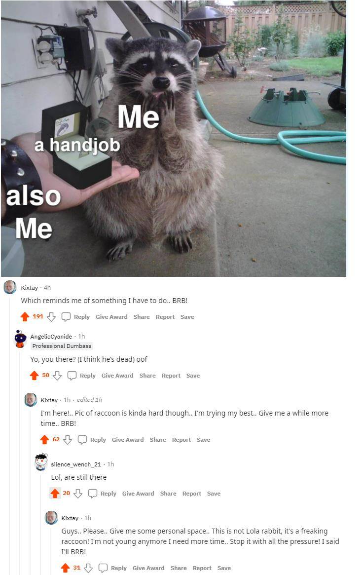 Cursed_racoon | Scrolller