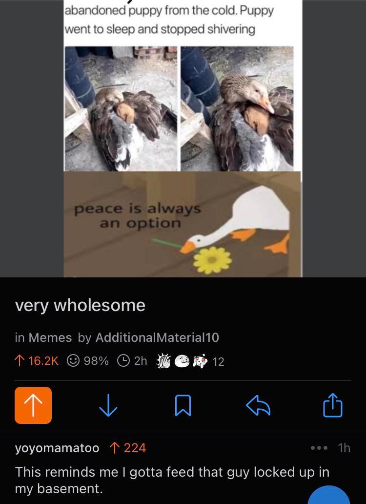 cursed_reminder | Scrolller