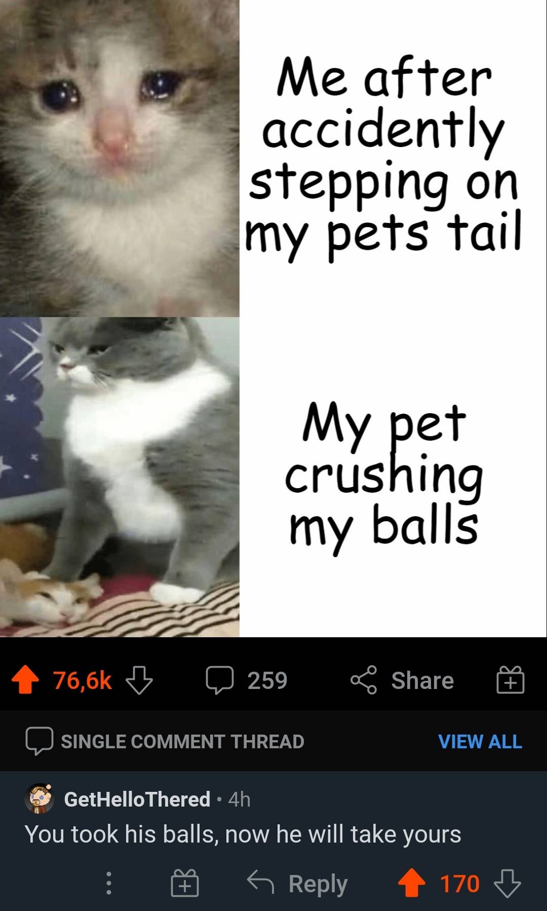 Cursed_revenge | Scrolller