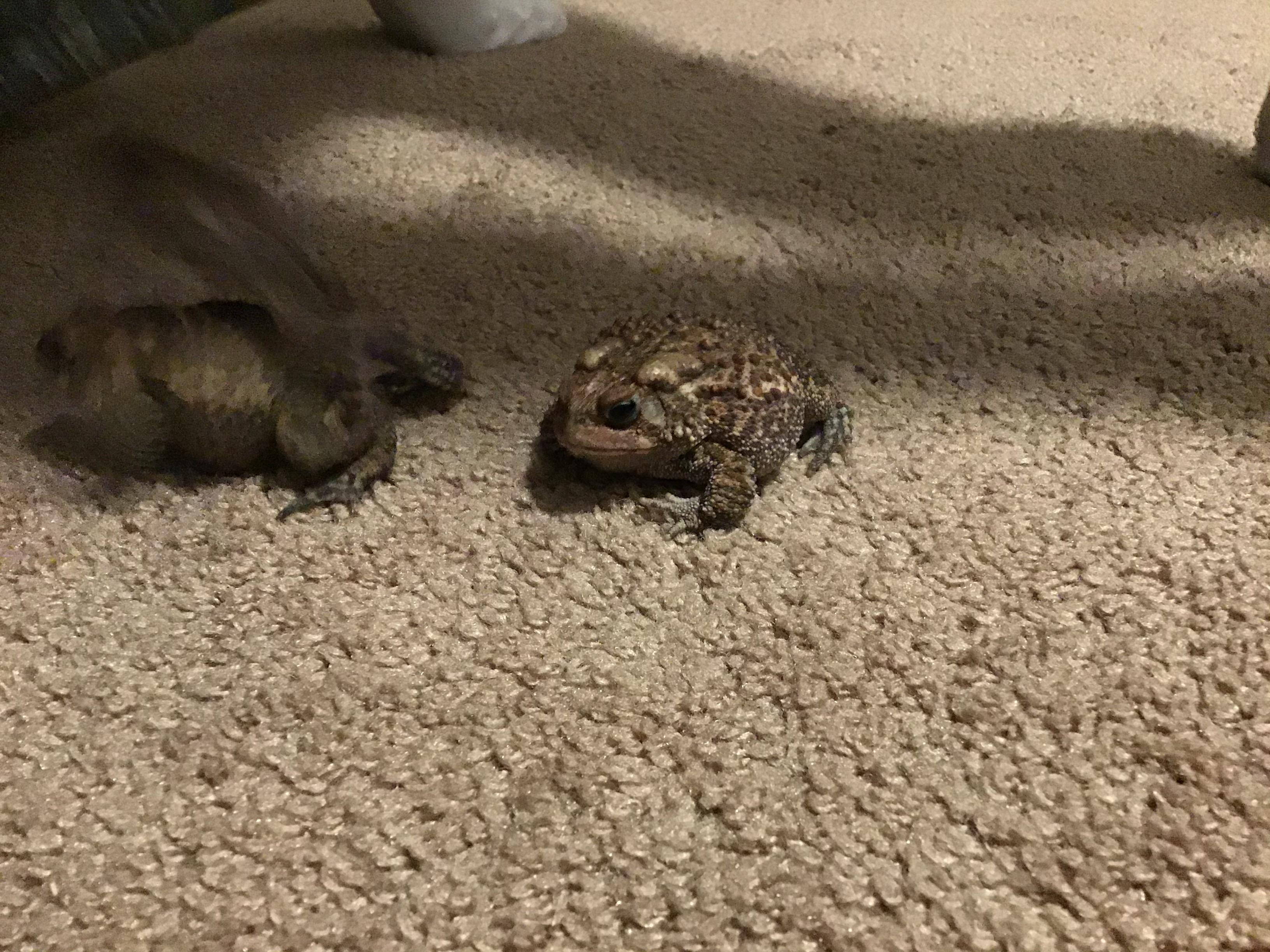 Cursed run | Scrolller