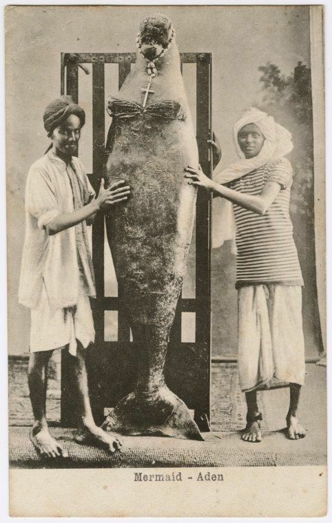 Cursed_seal(?) | Scrolller