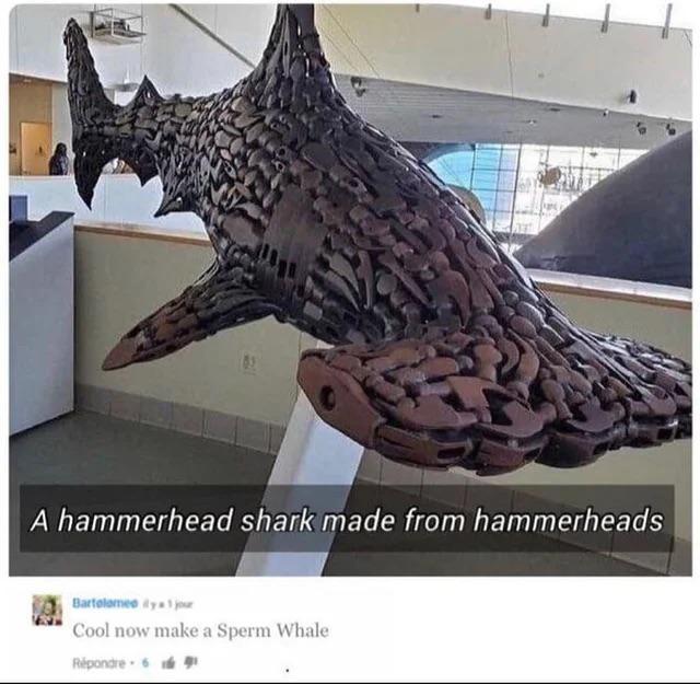 Cursed_shark | Scrolller