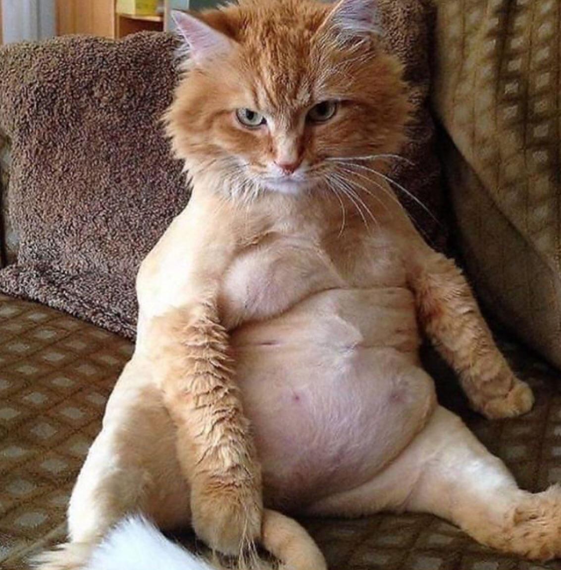 cursed_shave | Scrolller