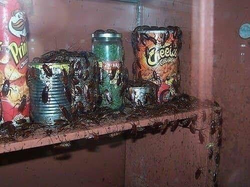 cursed_snacks | Scrolller