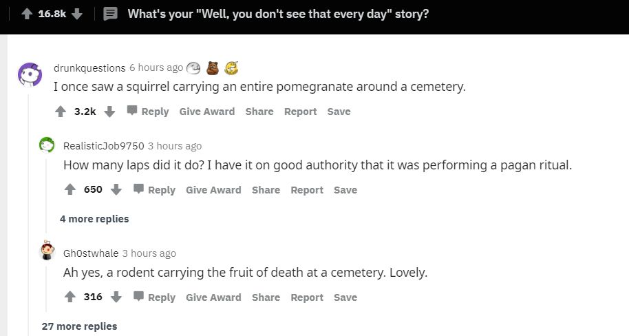 cursed_squirrel | Scrolller