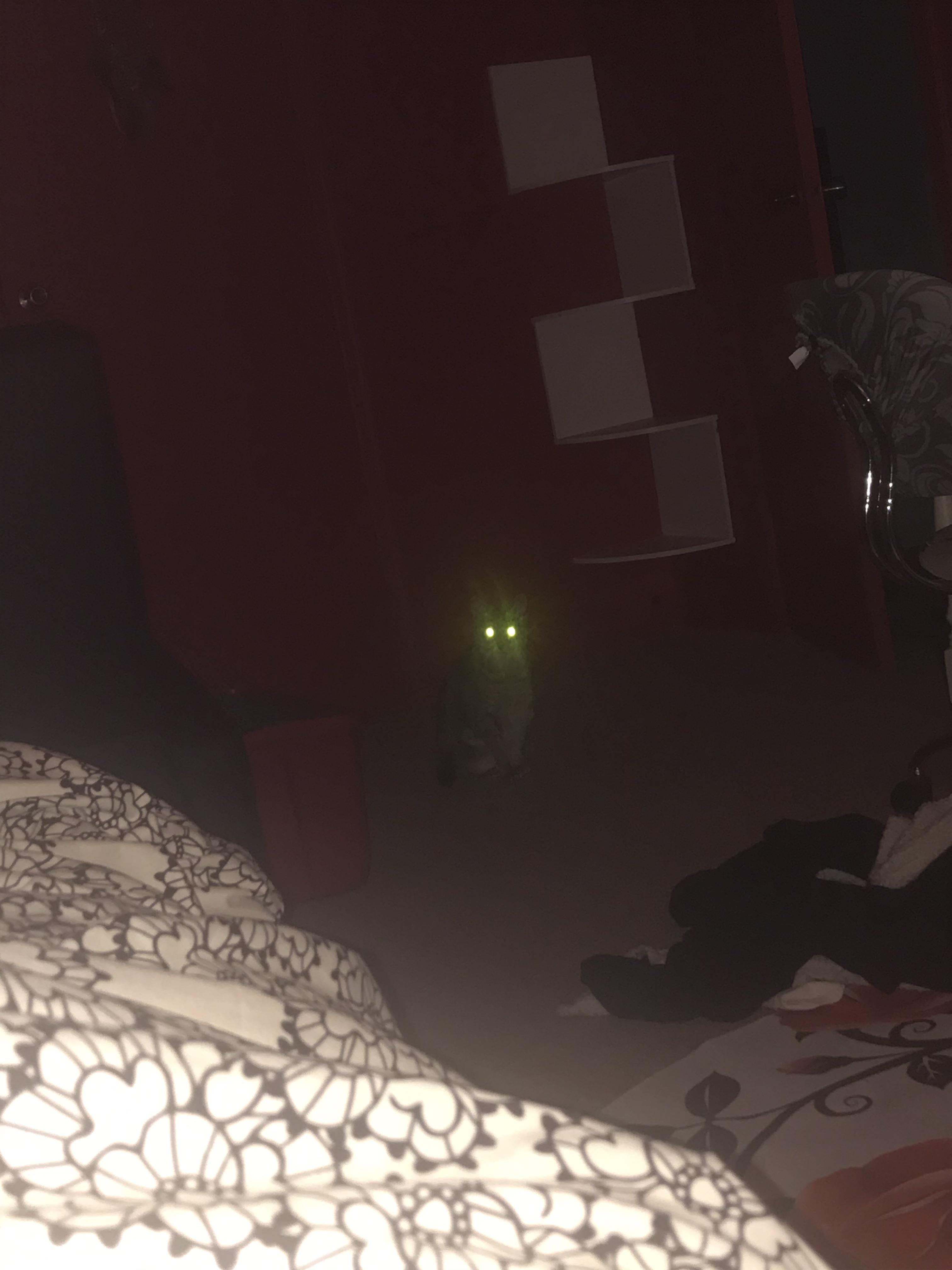 Cursed_stare | Scrolller