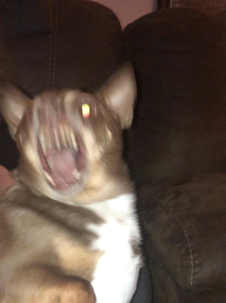 Cursed teeth | Scrolller