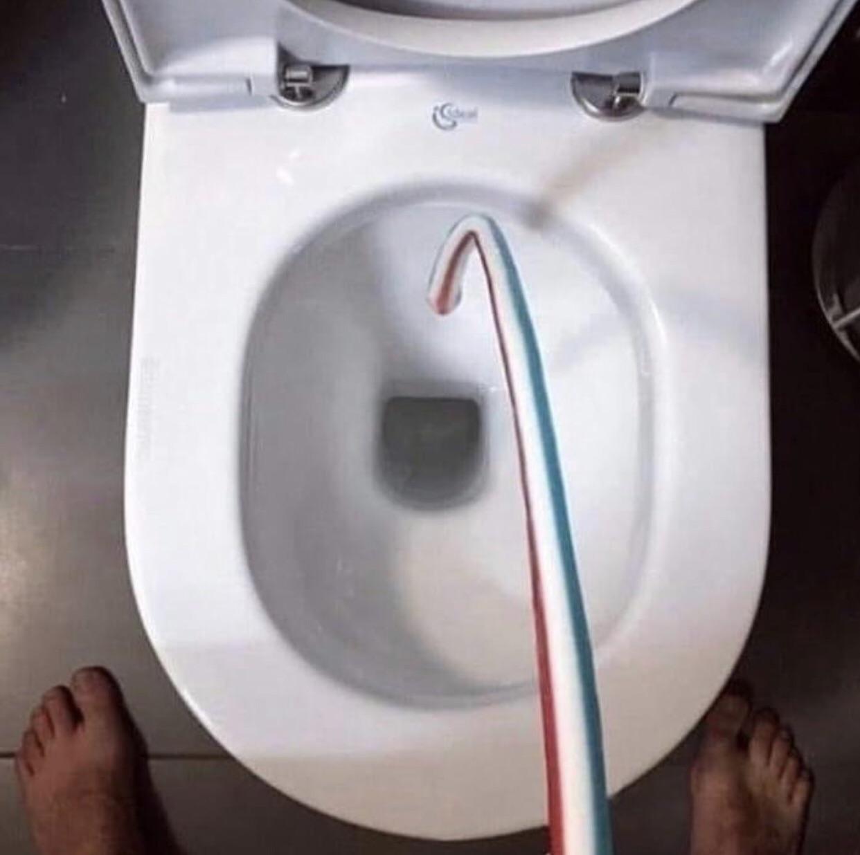 Cursed urine | Scrolller