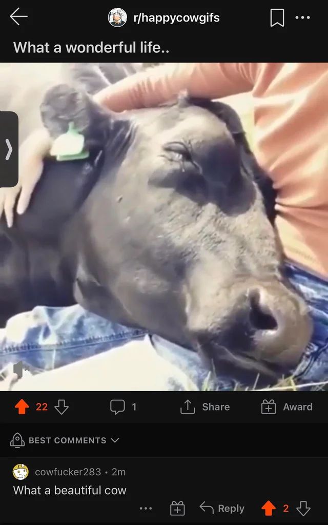 cursed username | Scrolller