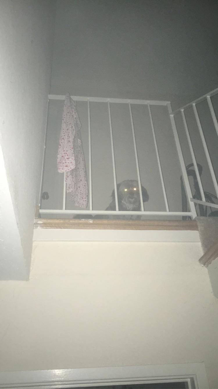 Cursed_watcher | Scrolller