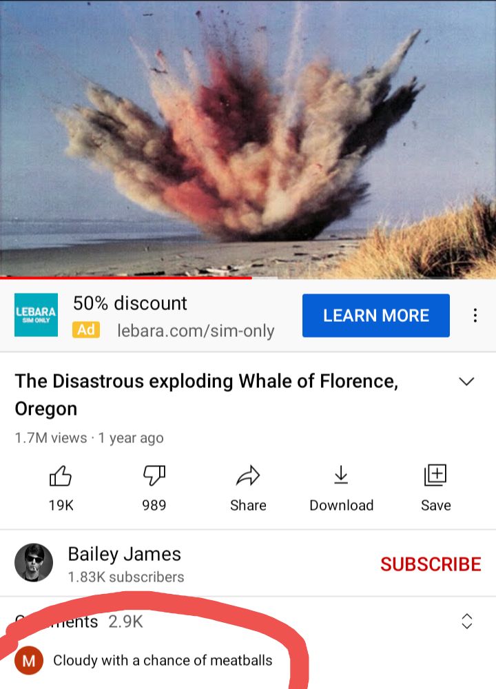 Cursed_Whale Explosion | Scrolller
